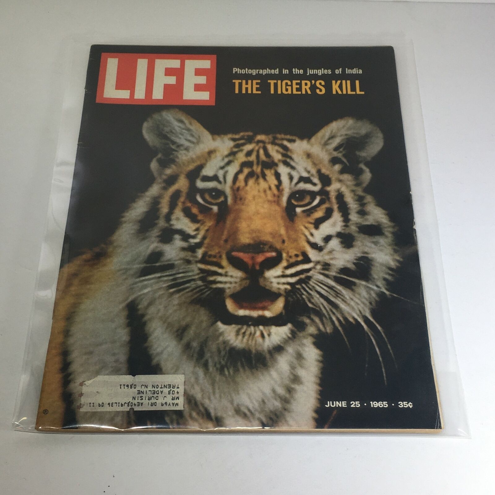 Grab This 1965 Life Magazine Now!