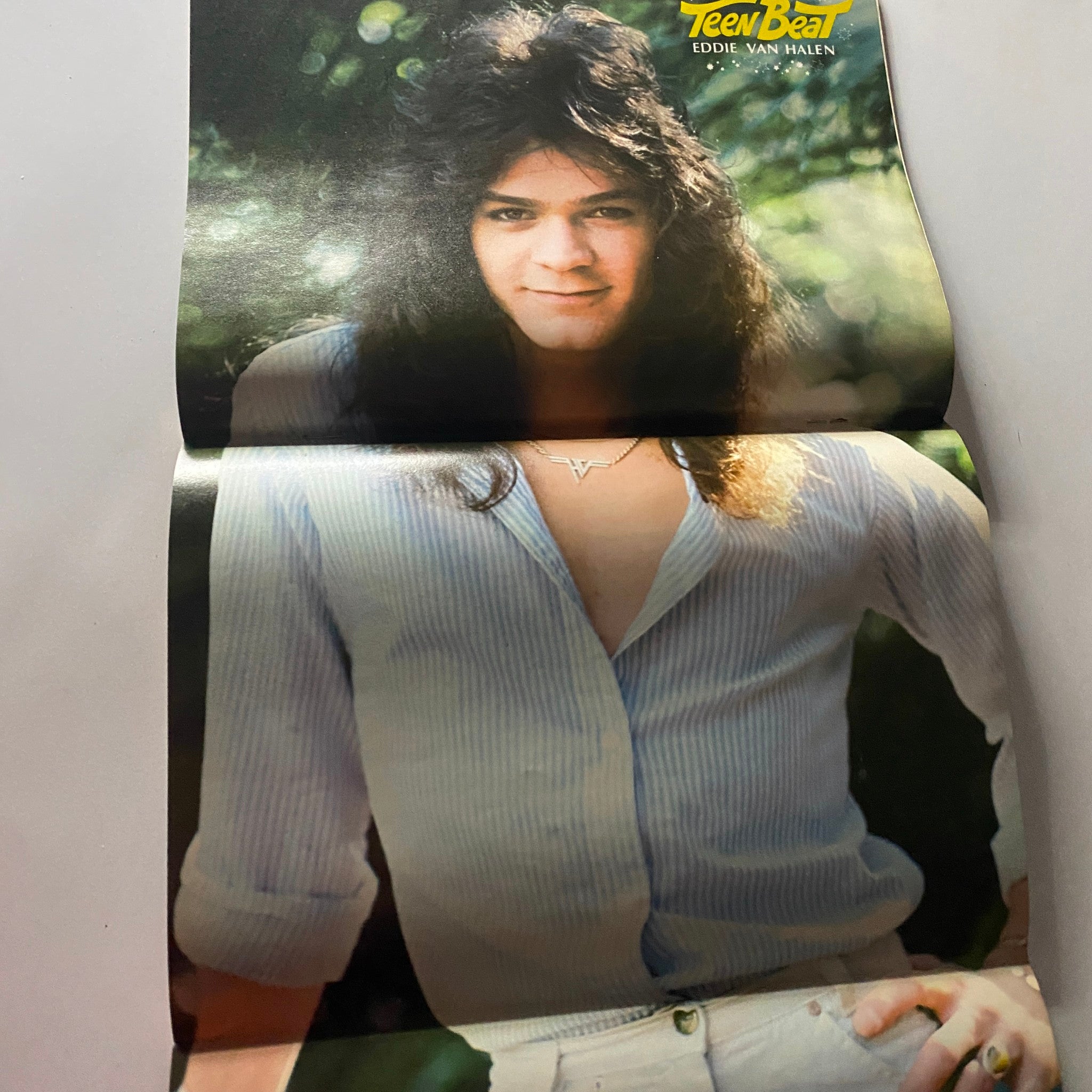 Teen Beat Magazine December 1980 Leif Garrett Shaun Cassidy w Poster N