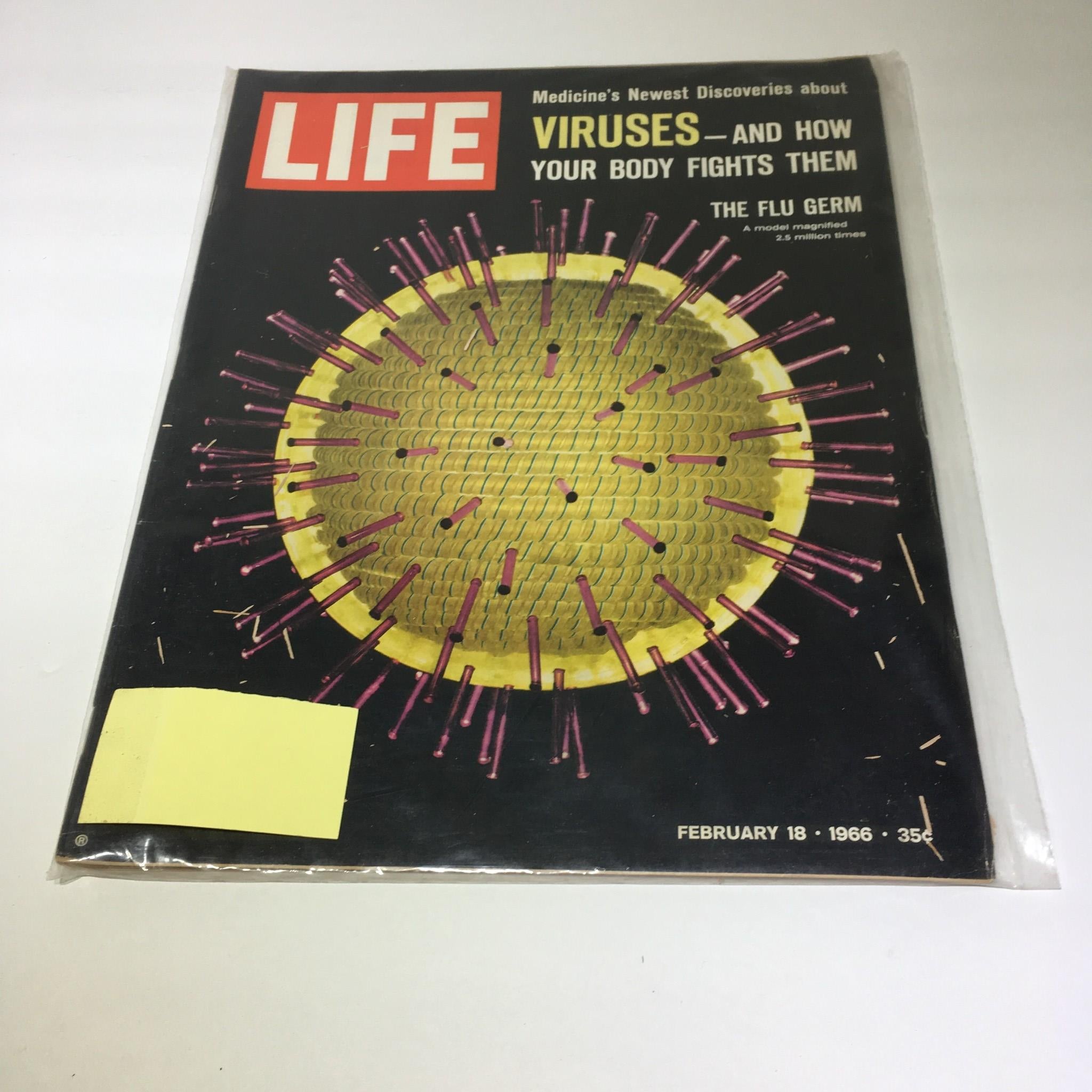 Life Magazine Feb 18 1966 Viruses Vintage